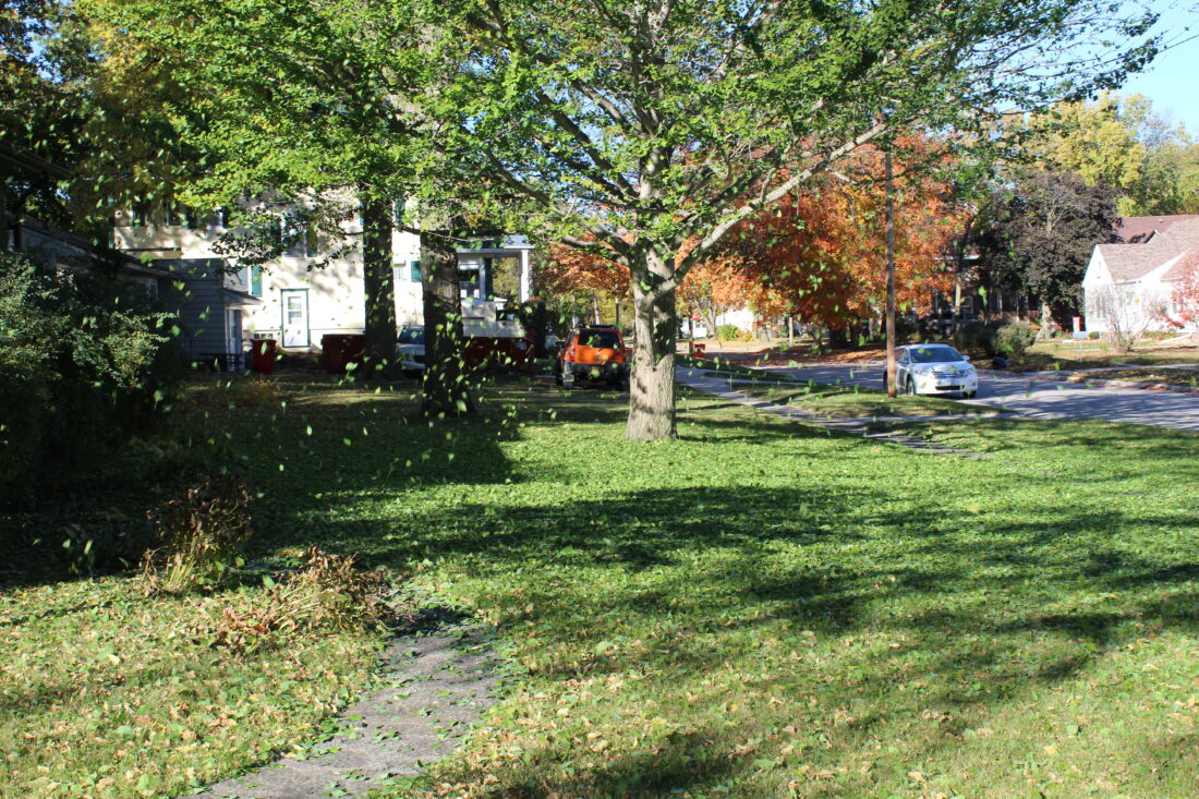 A Magic Tree. A Great Man. A Cold October Morning | News, Sports, Jobs ...